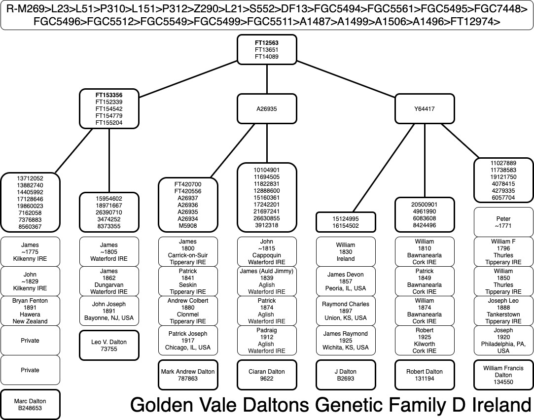 Dalton International DNA Project (DIDP) Website of The Dalton ...